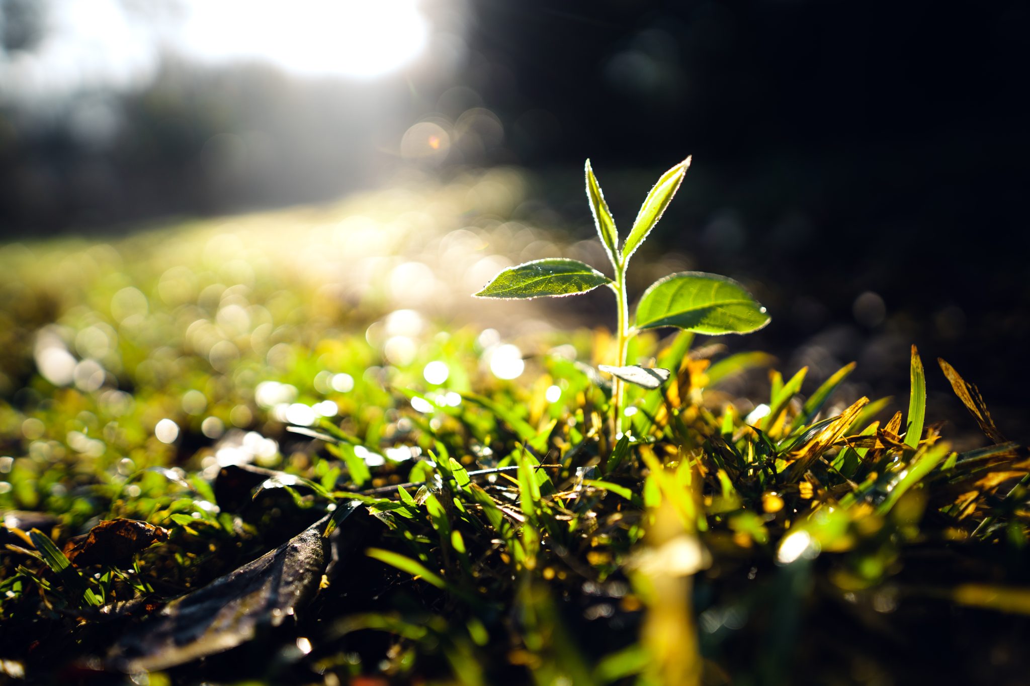 Tropocells – Setting new standards for PRP systems